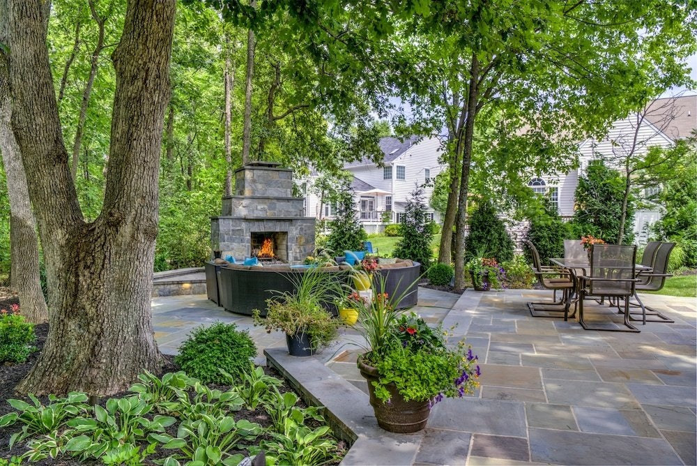Planting Trees Near Patios Feasibility And Considerations Riveal